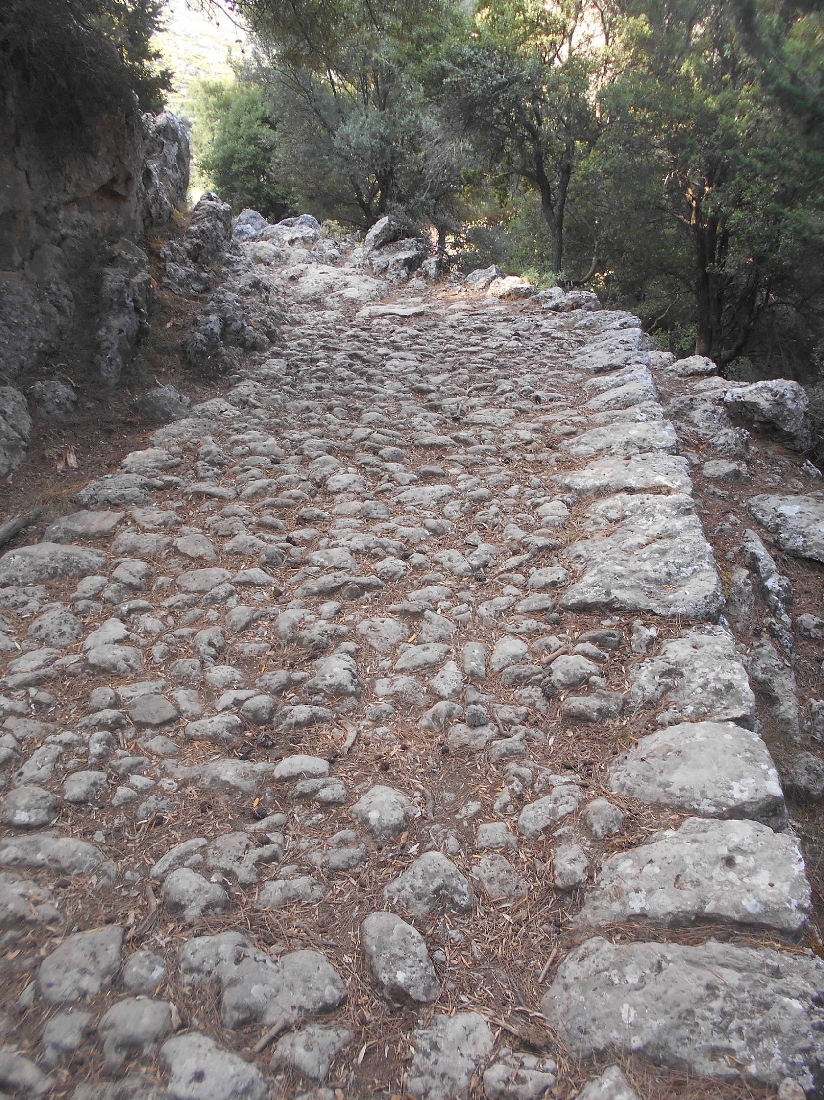 The Vasiliki Strata, or Royal Path